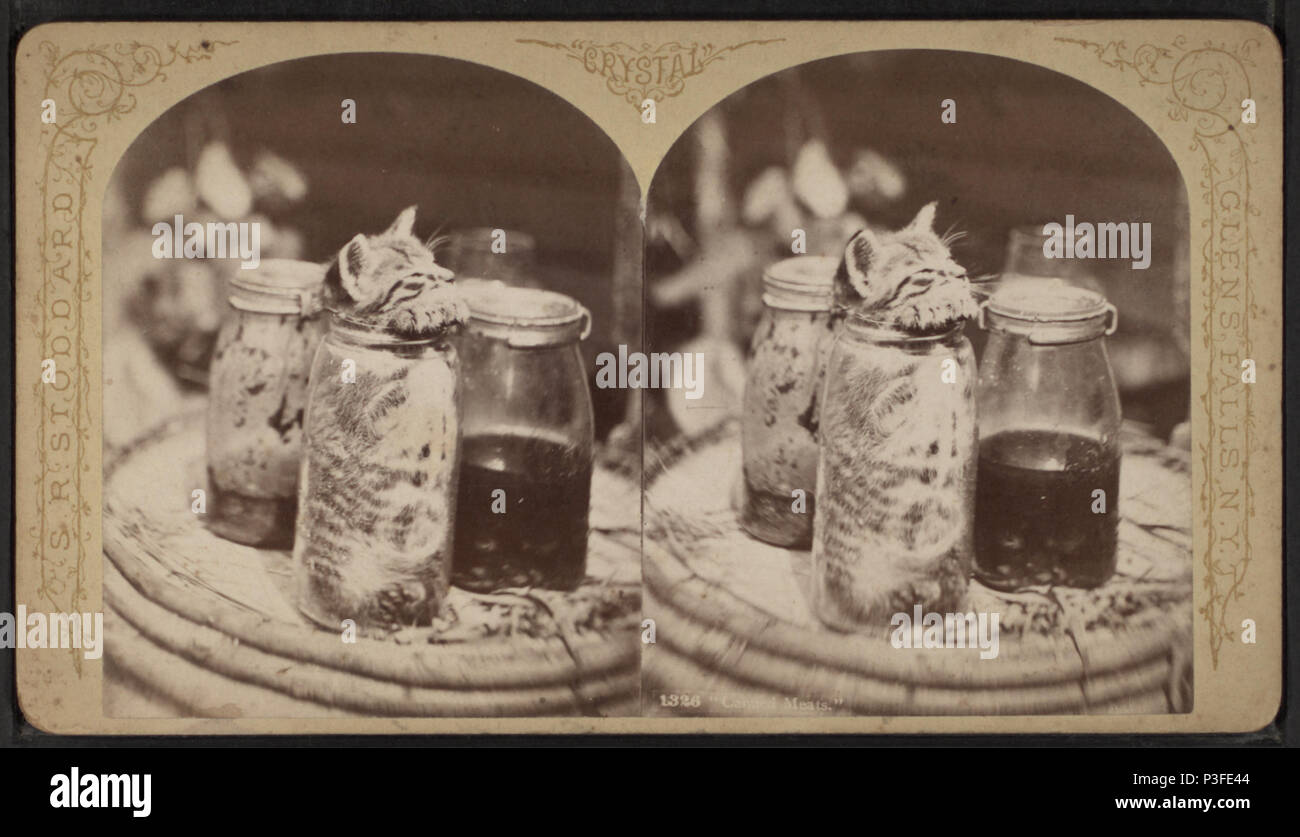 Canned at source hi-res stock photography and images - Alamy