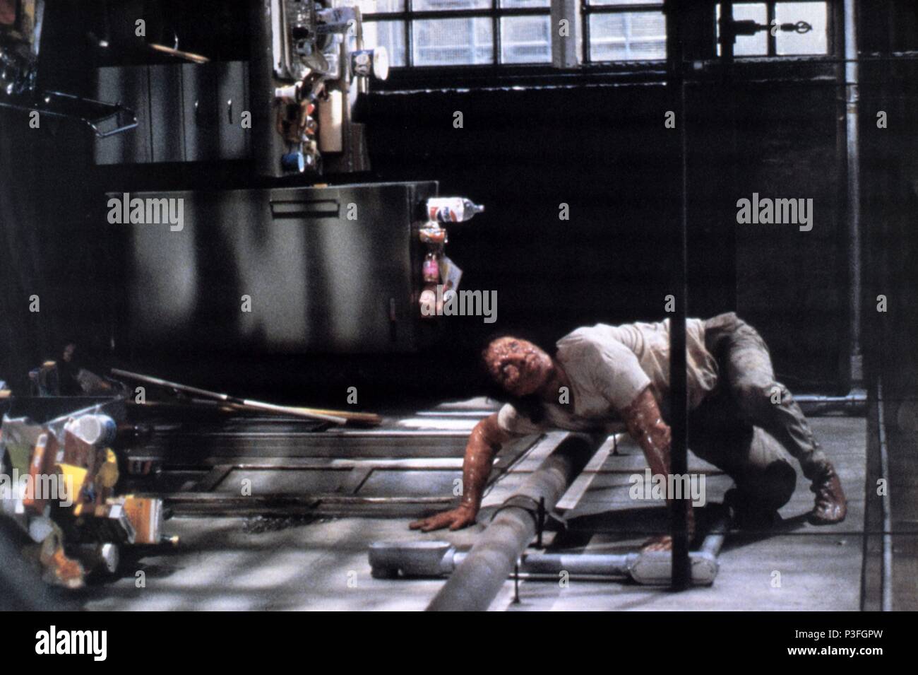 Original Film Title: THE FLY. English Title: THE FLY. Film Director ...