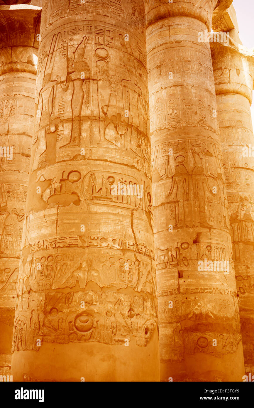 A sandstone column in Egypt. columns covered in hieroglyphics Stock ...
