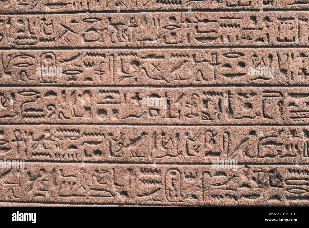 egypt hieroglyphs carved on the stone Stock Photo - Alamy