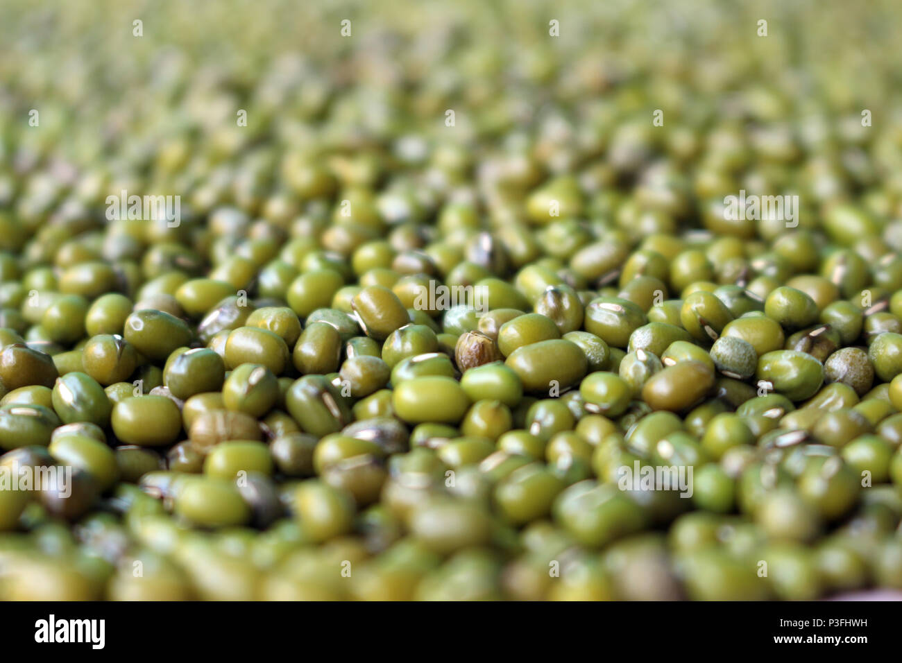 green bean seed background Stock Photo - Alamy