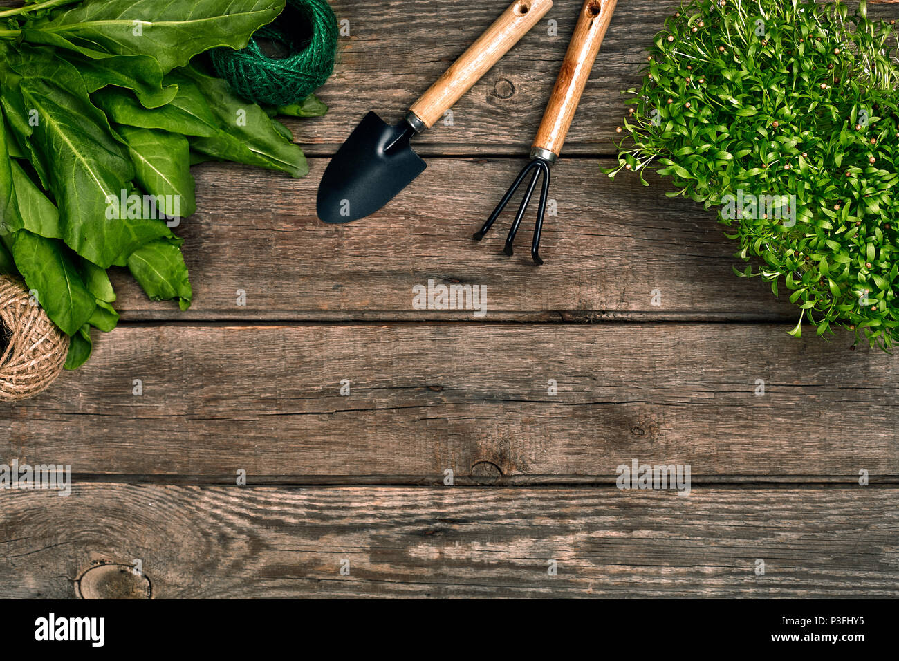 Gardening tools and greenery on wooden table. Spring in the garden. Top ...