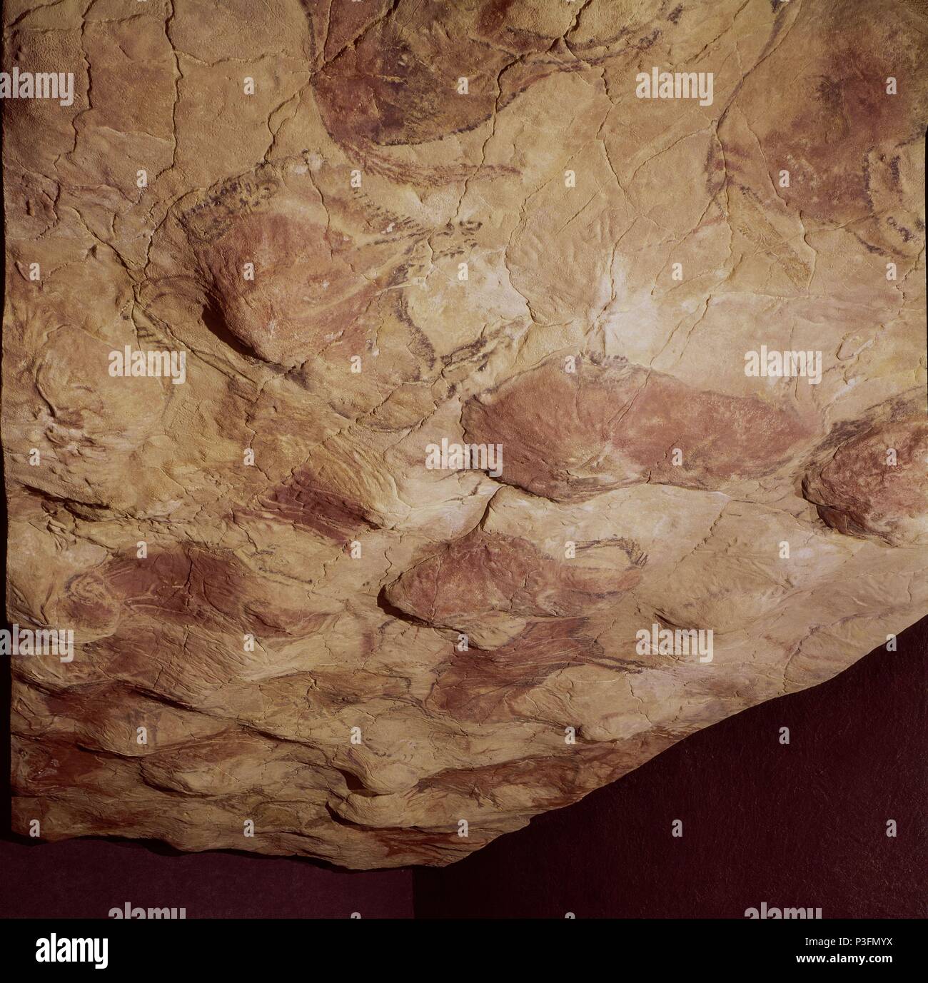 SALA REPRODUCCION DE LAS CUEVAS DE ALTAMIRA-ARTE PALEOLITICO - 150000 ...