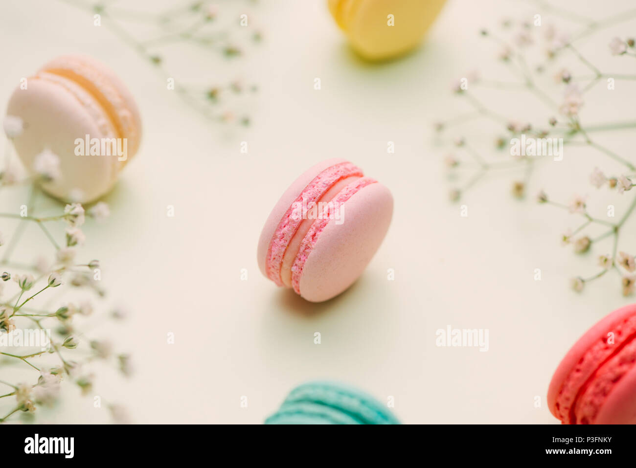 Morning cake macaron and flower gypsophila on light green background ...