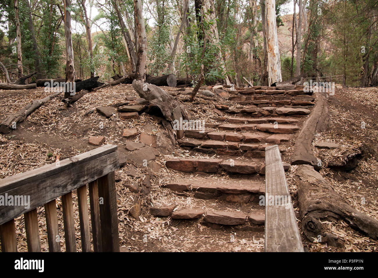 Australian bush track with steps hi-res stock photography and images ...