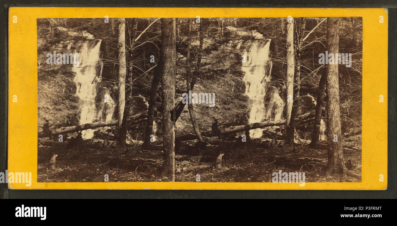 330 Tower's Little Niagara. At Springfield, Vermont, by Gage, F. B ...