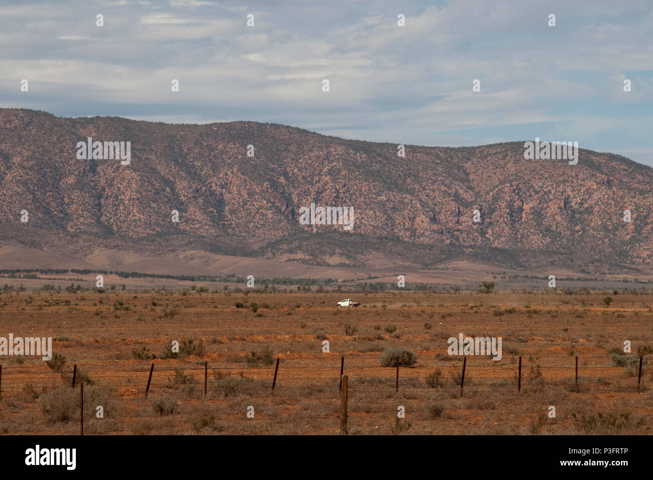 Hawker South Australia, farm ute driving across paddock with flinders ...