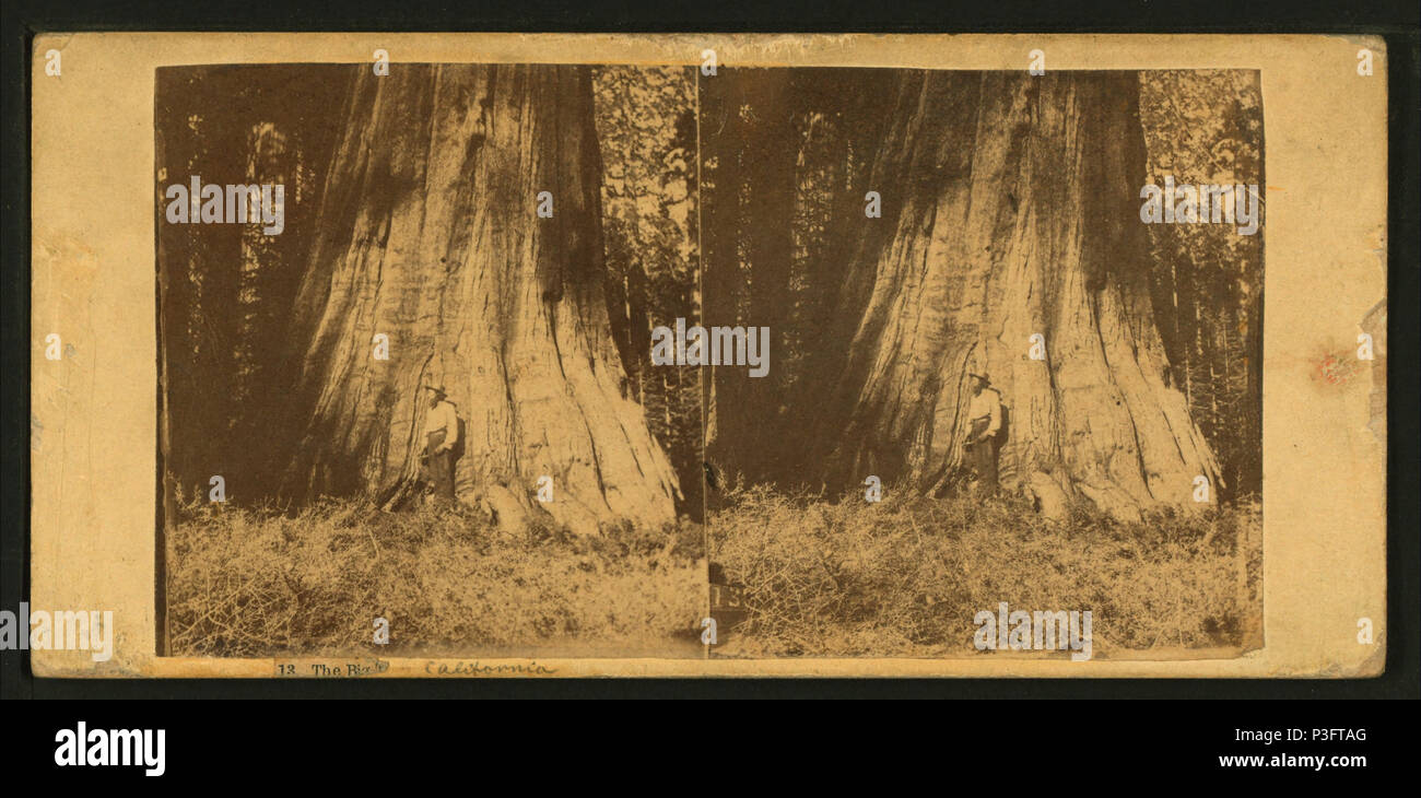 94 feet circumference hi-res stock photography and images - Alamy