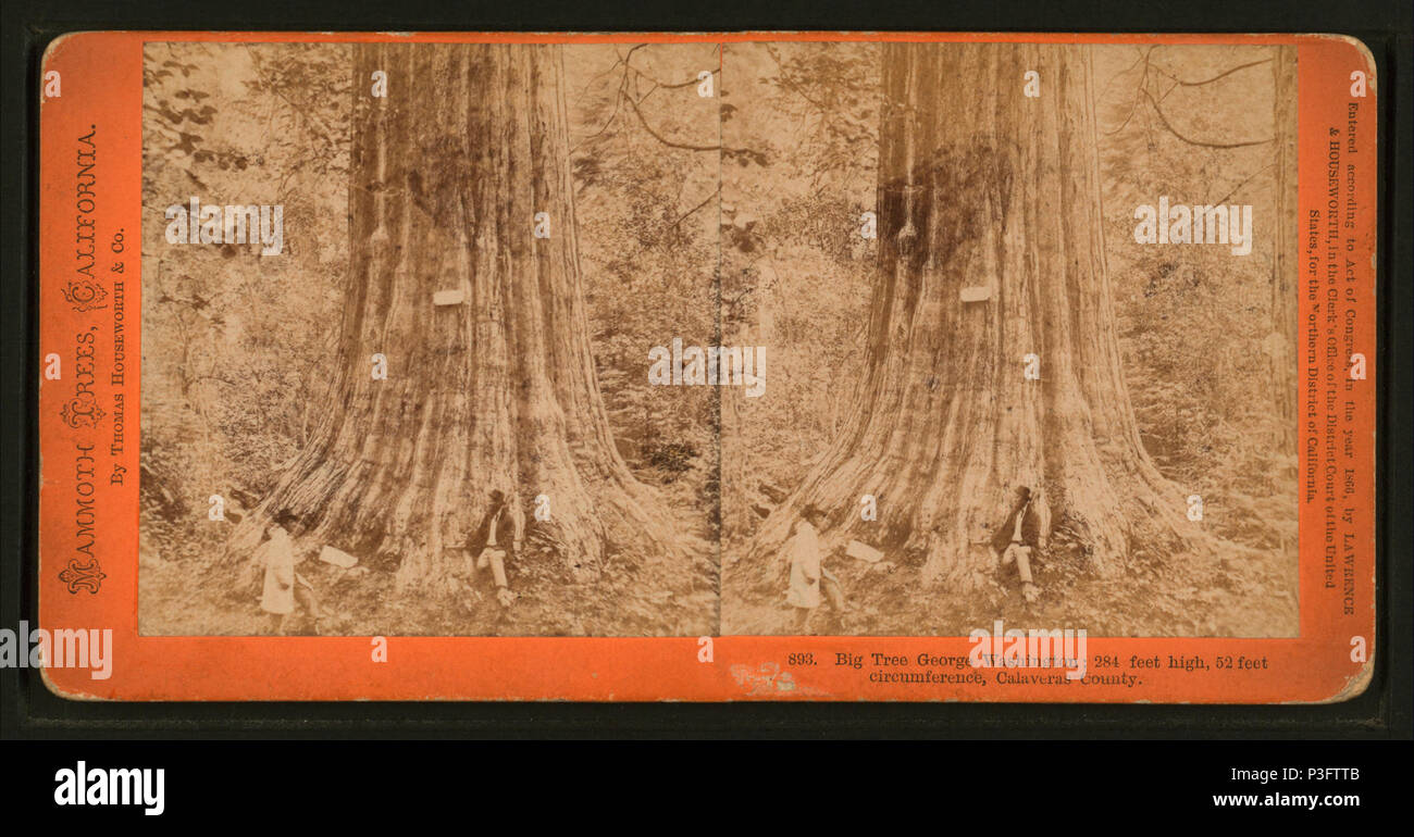 52 feet hi-res stock photography and images - Alamy