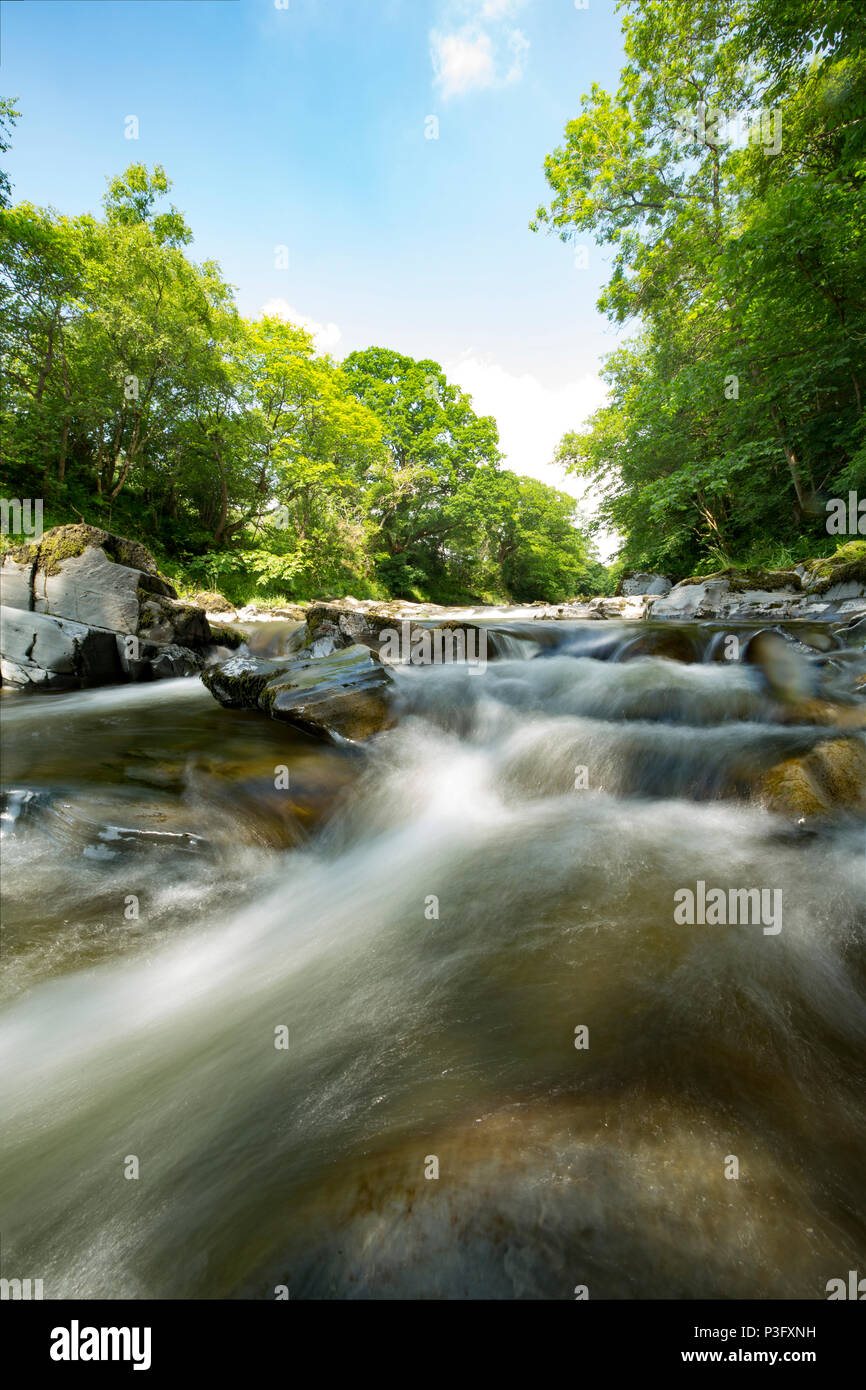 Walking upstream hi-res stock photography and images - Alamy