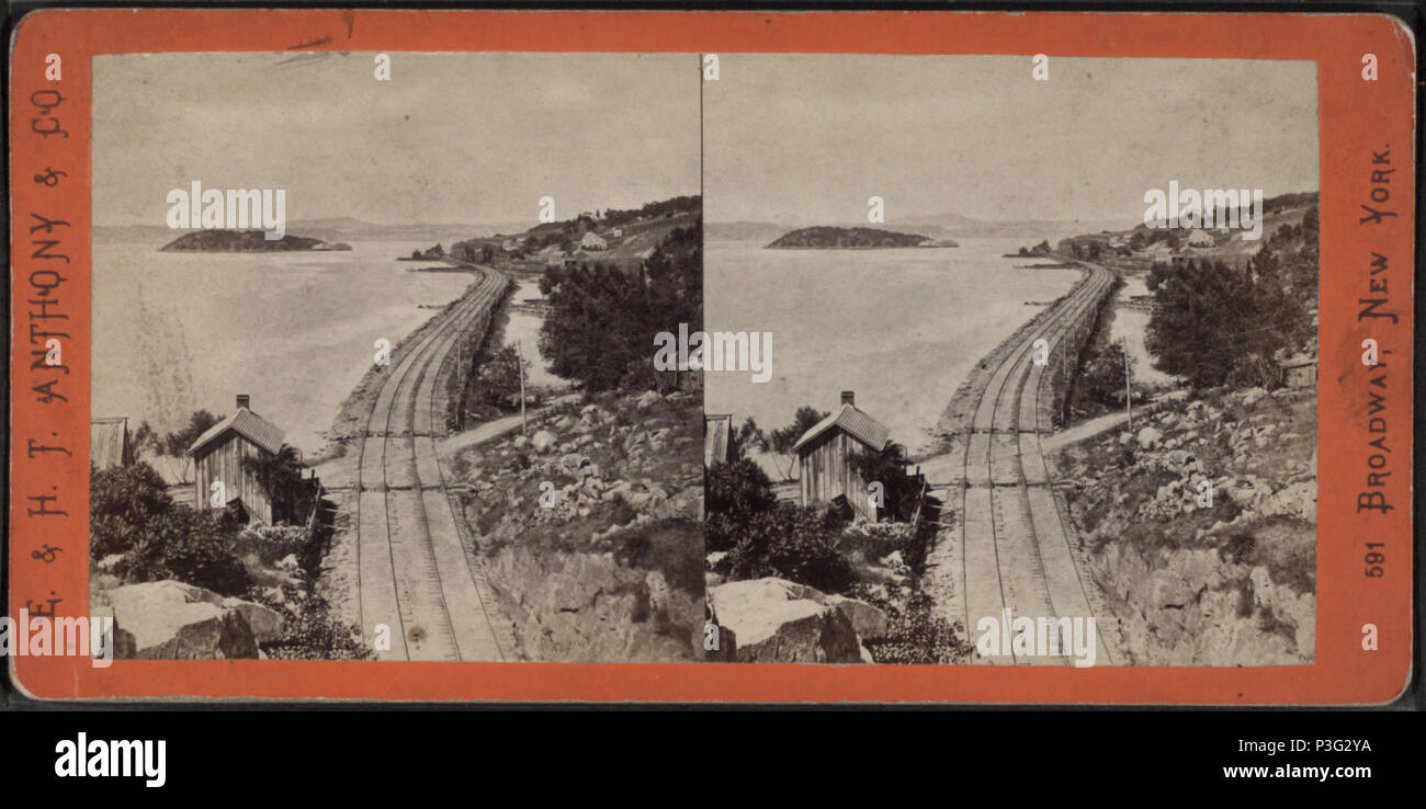 Polypus hi-res stock photography and images - Alamy