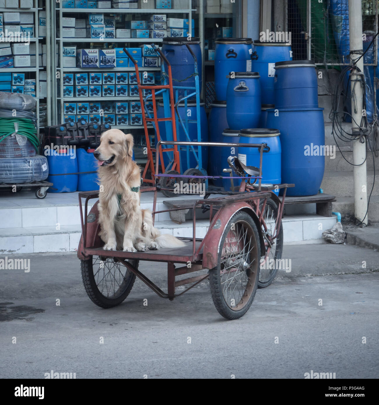 Blue rickshaw hi-res stock photography and images - Alamy