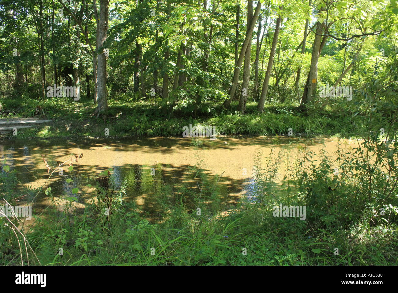 Chemung county hi-res stock photography and images - Alamy