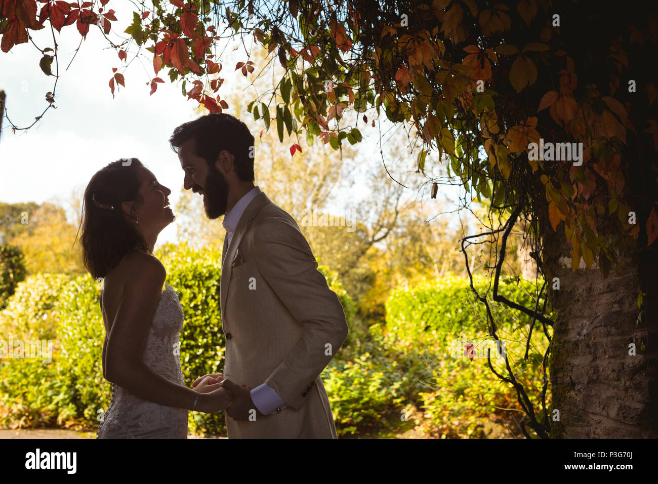 Bride groom pose outdoors hi-res stock photography and images - Alamy