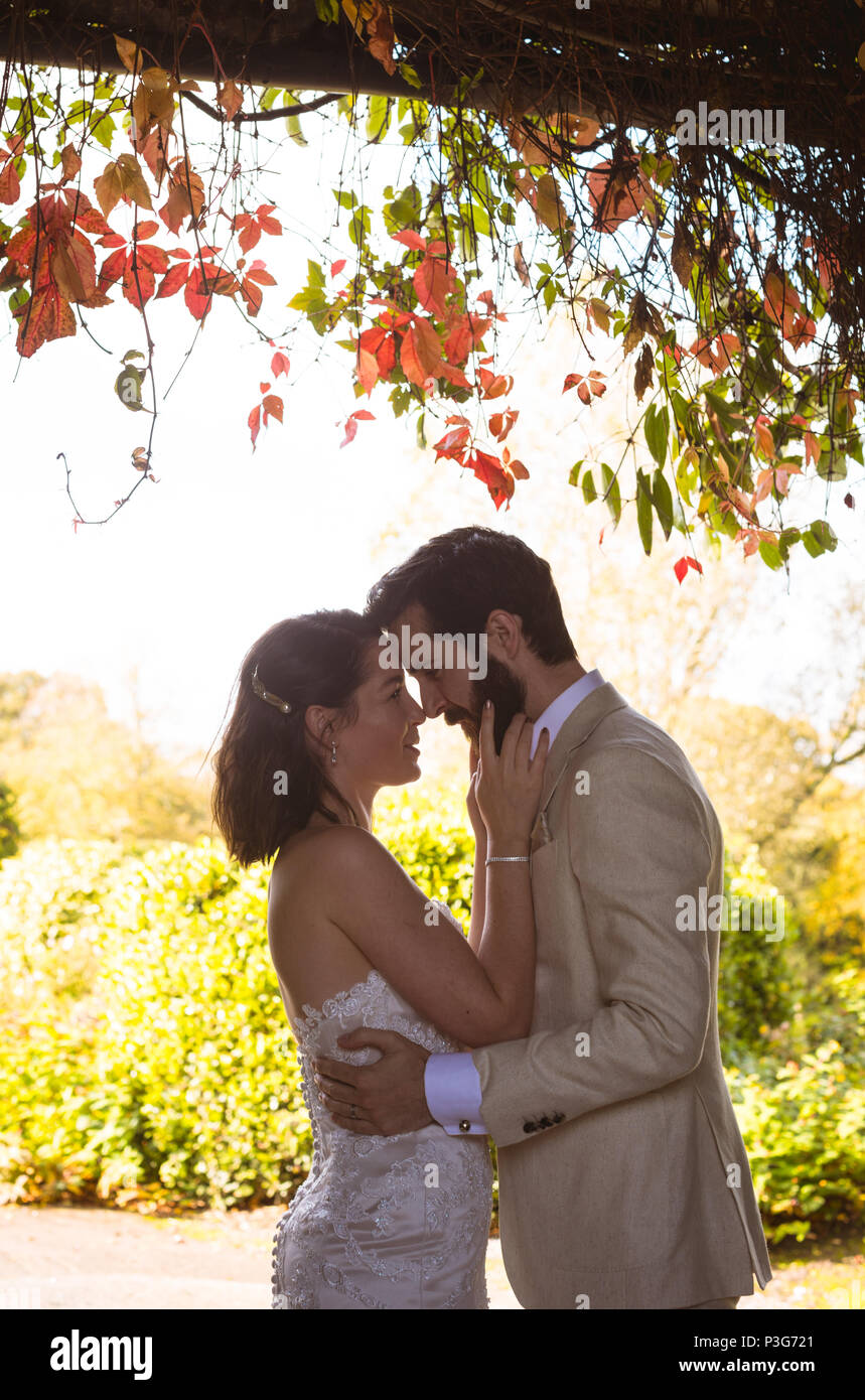 Two Eyes Looking At Each Other