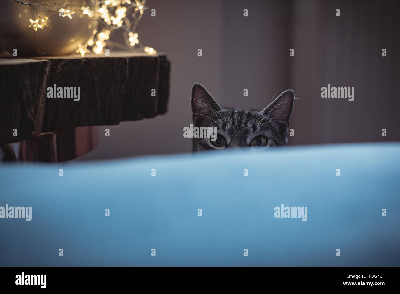 No peeking hi-res stock photography and images - Alamy