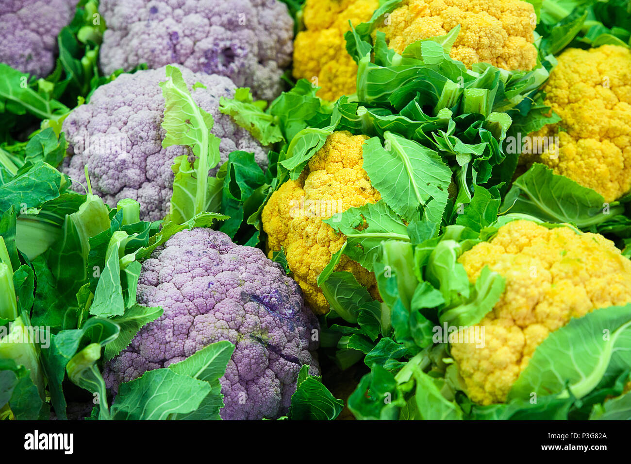 Food background - purple and orange cauliflower variety Stock Photo - Alamy