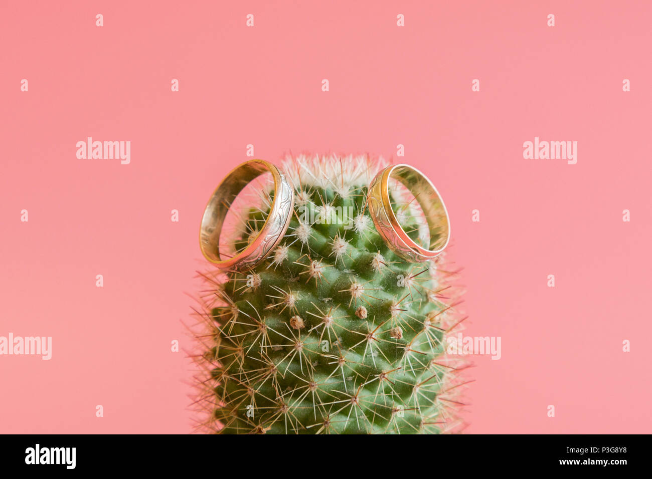 Romantic wedding ring on Cactus and pink background selective focus on ...