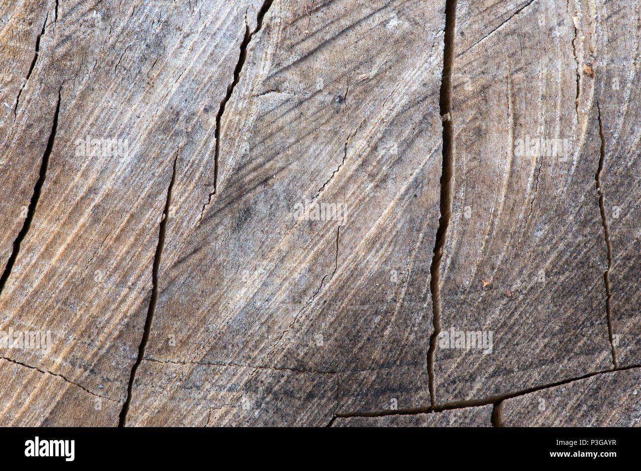 Wood surface Texture Stock Photo - Alamy