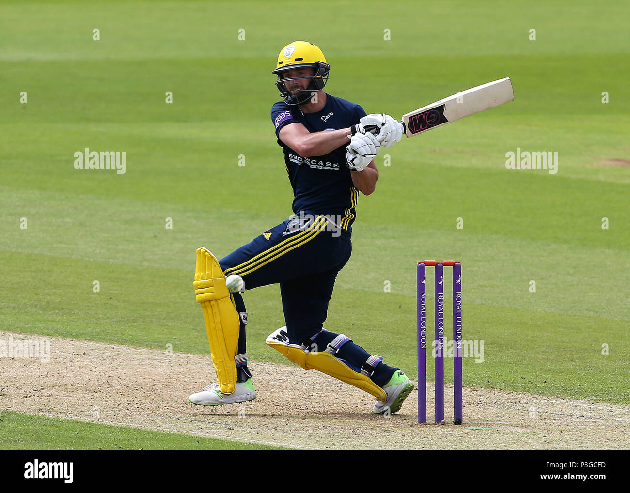 Hampshire's James Vince in batting action during the Royal London One ...