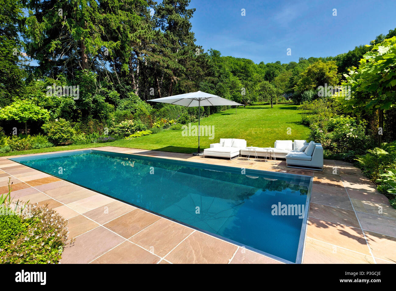 Modern swimming pool in backyard garden Stock Photo - Alamy