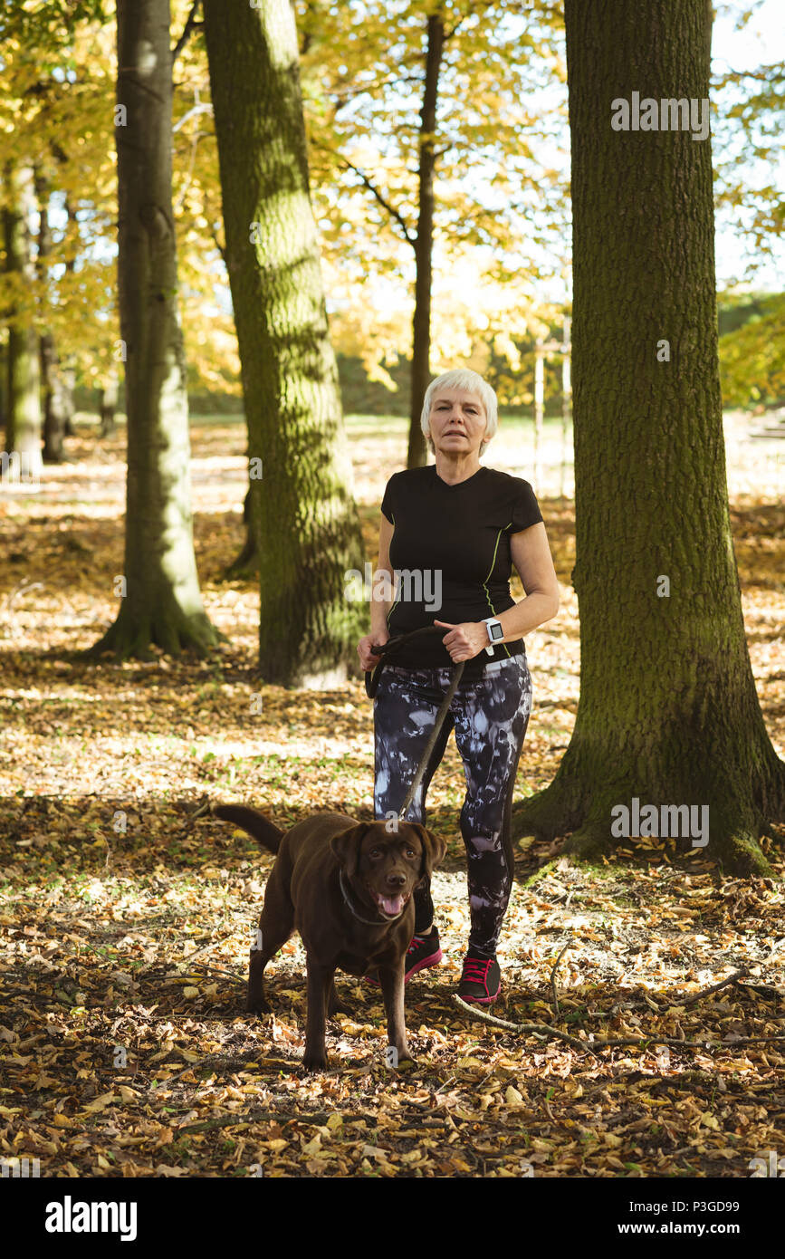 Senior woman walking dog hi-res stock photography and images - Alamy