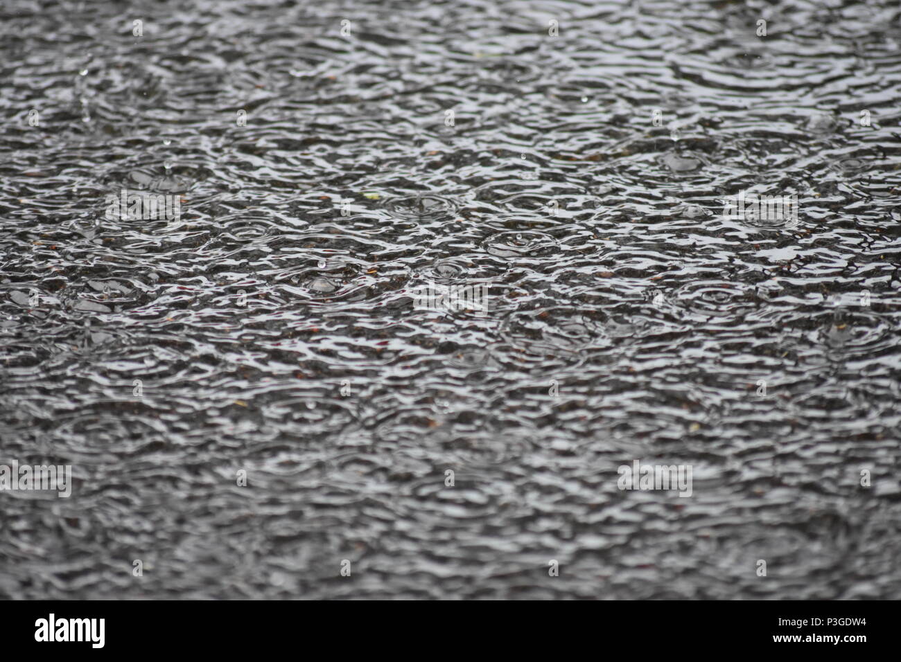 Puddle rain ripples hi-res stock photography and images - Alamy