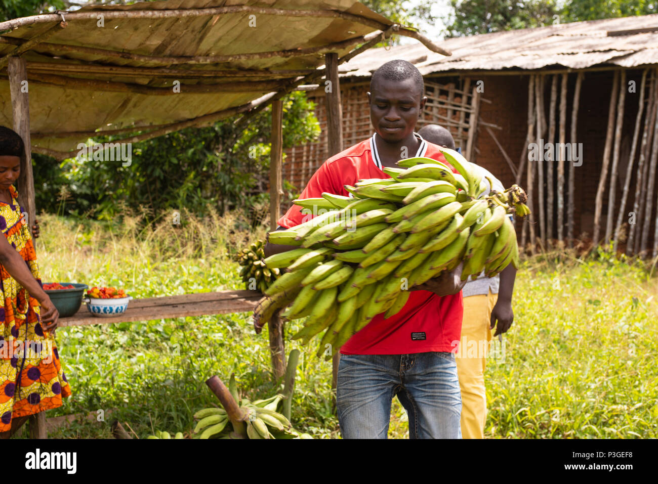 African bananas hi-res stock photography and images - Alamy