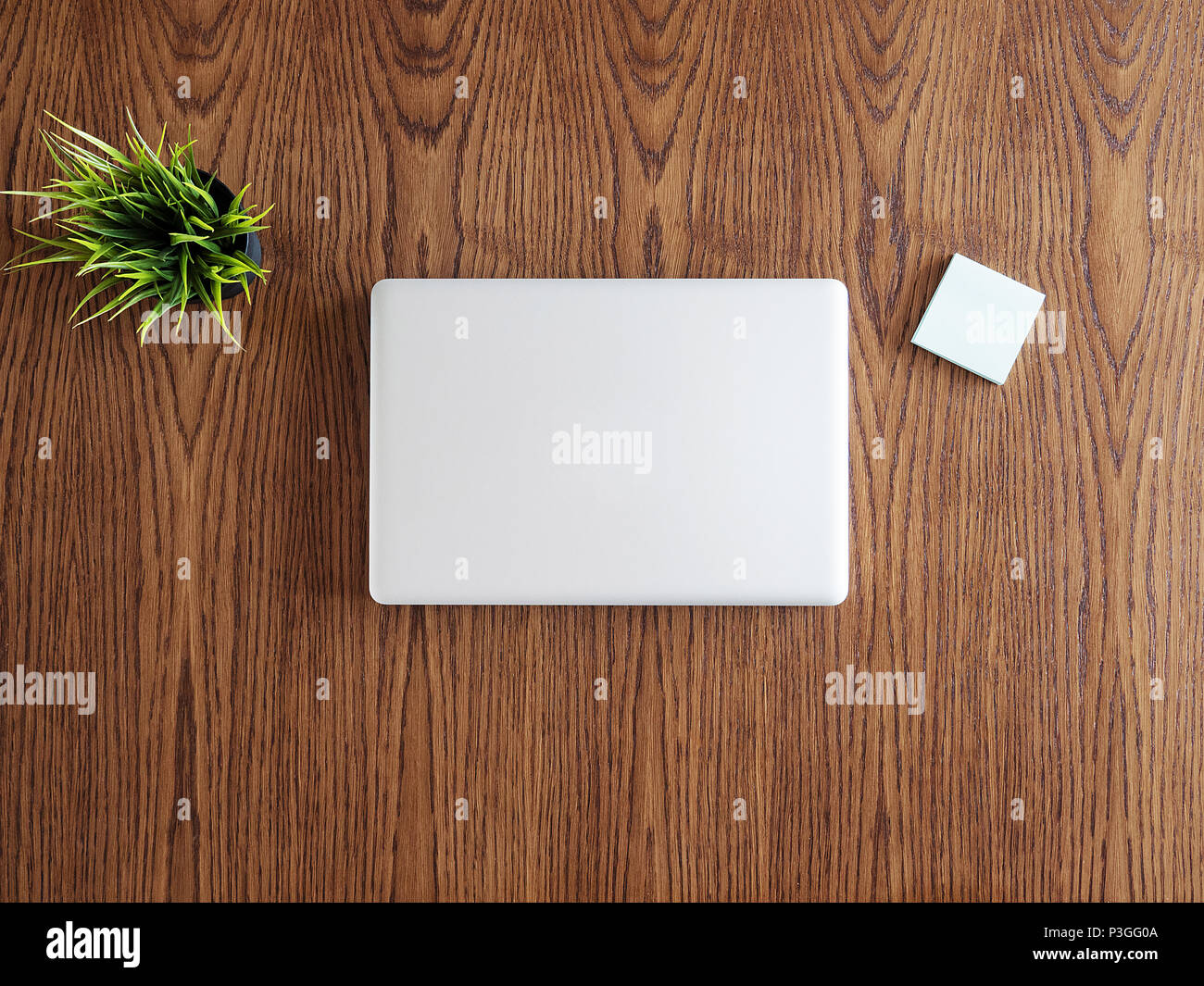 Tip view of businessman desk with a laptop and a pot of grass Stock ...