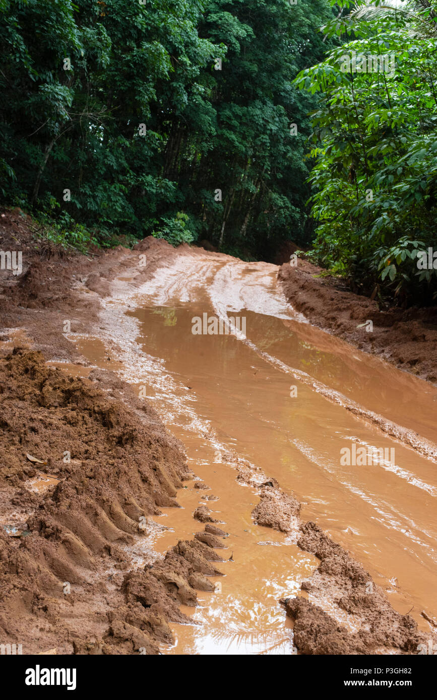 mud road after rain in jungle to Bagyliem, Cameroon Stock Photo - Alamy