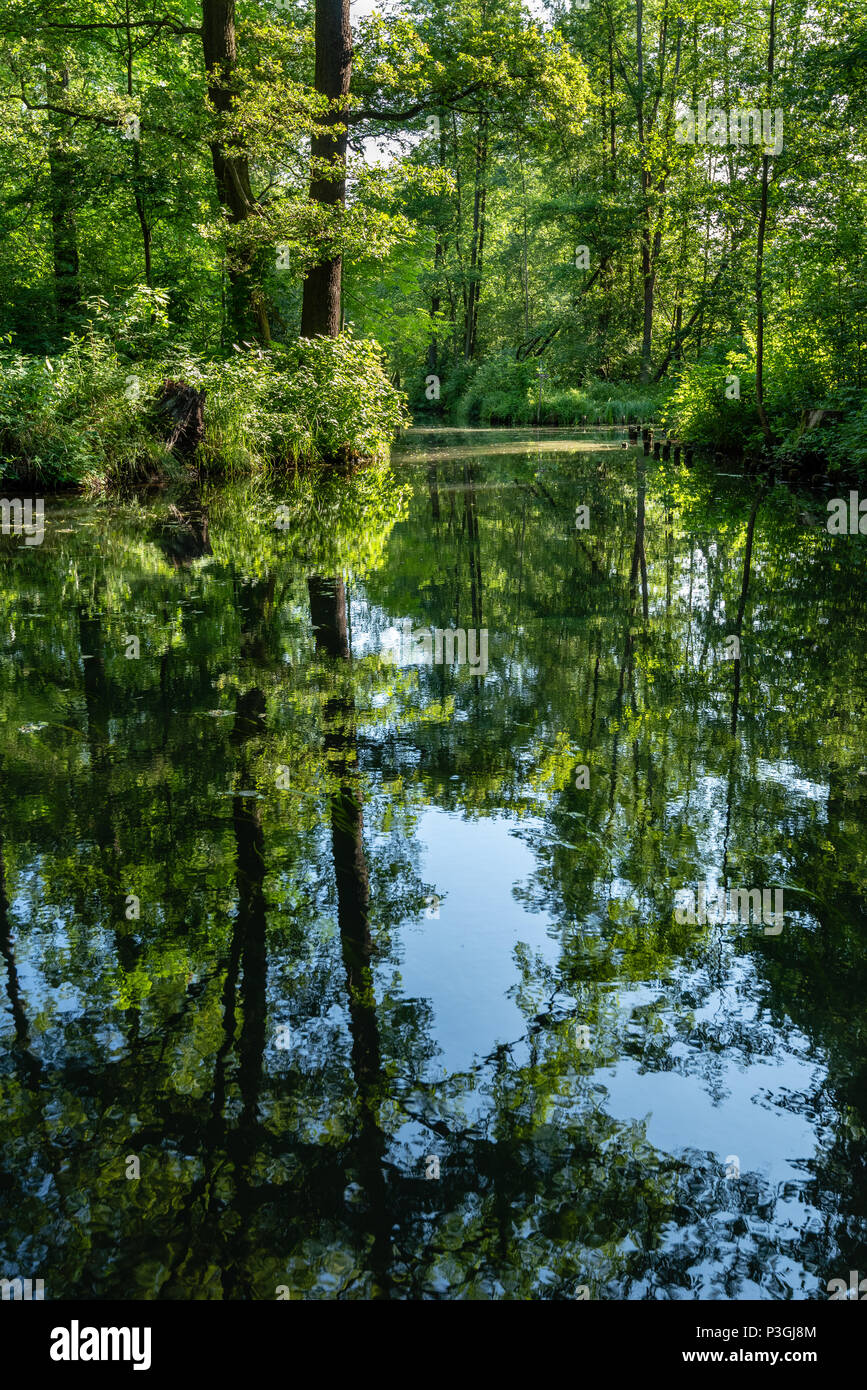 Unesco spreewald biosphere reserve hi-res stock photography and images ...