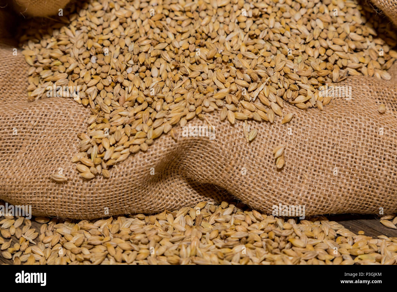 Barley Malt Stock Photos & Barley Malt Stock Images - Alamy