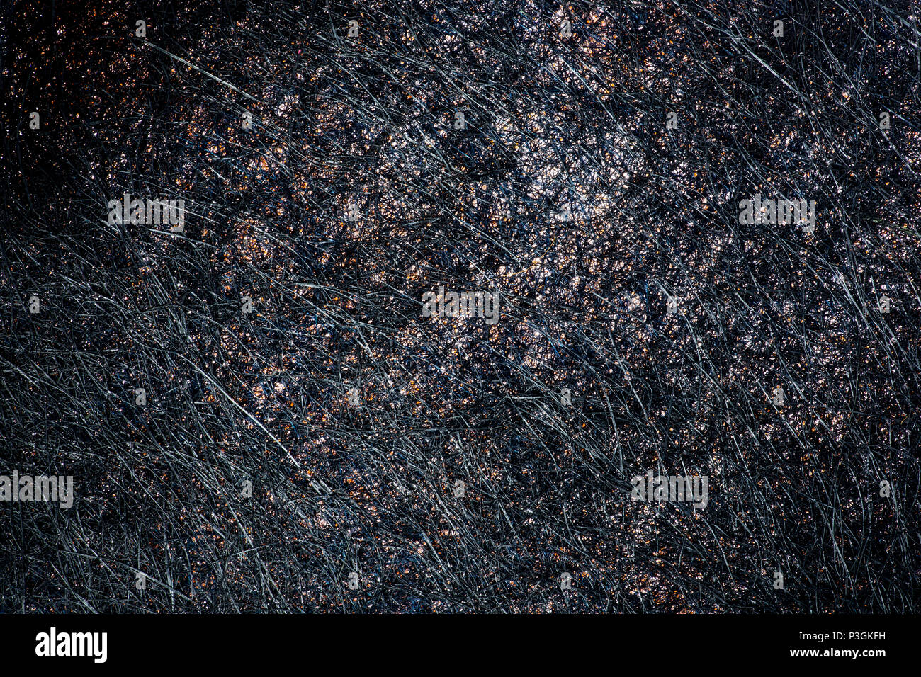 Black strands hi-res stock photography and images - Alamy