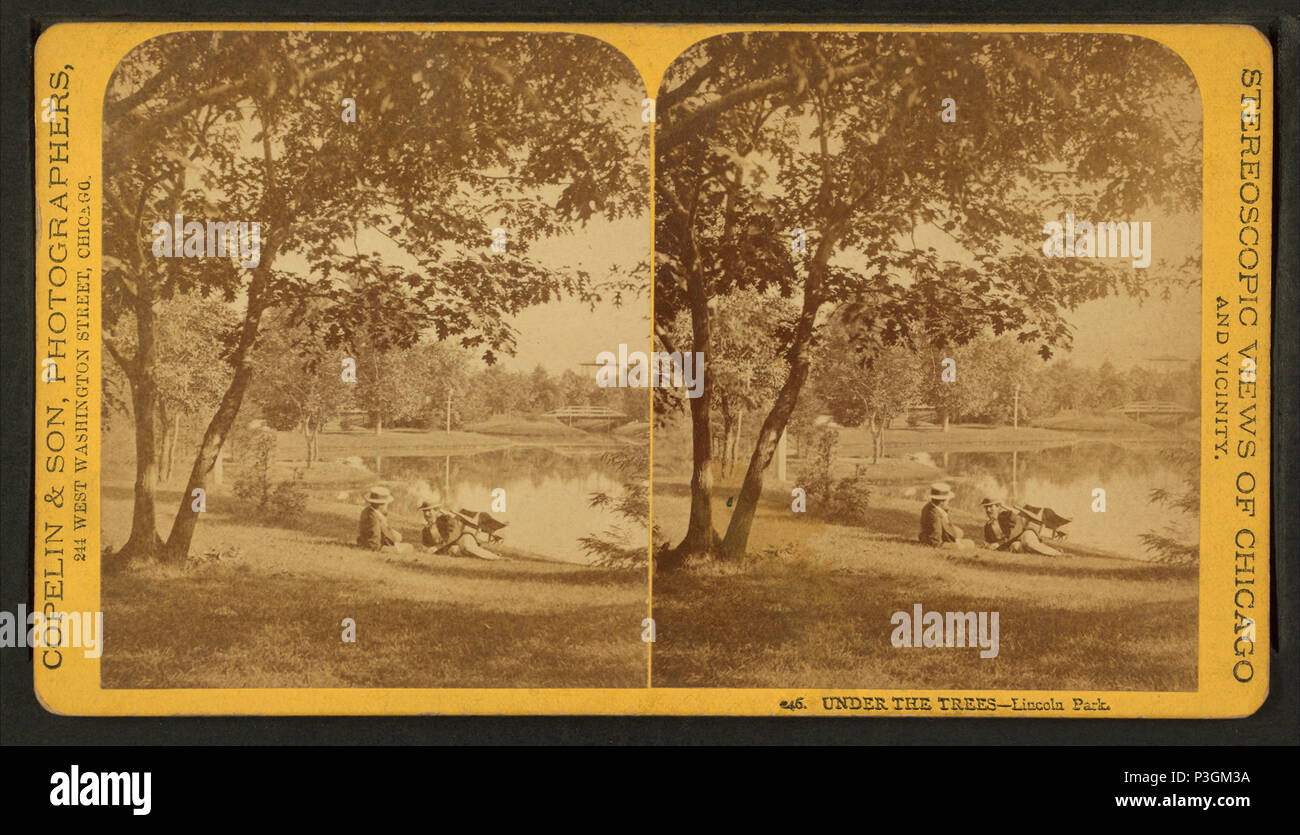 . Under the trees, Lincoln Park. Alternate Title: Stereoscopic views of ...