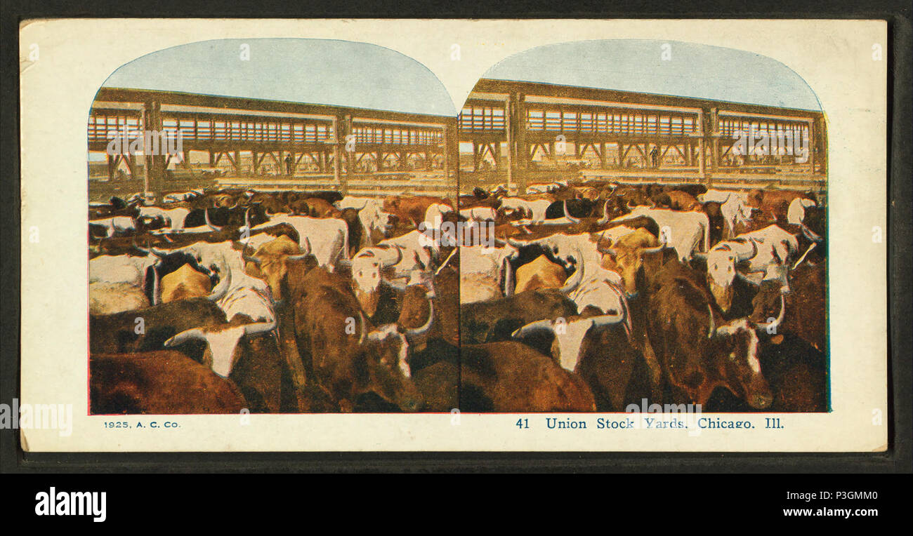 Chicago slaughter hi-res stock photography and images - Alamy