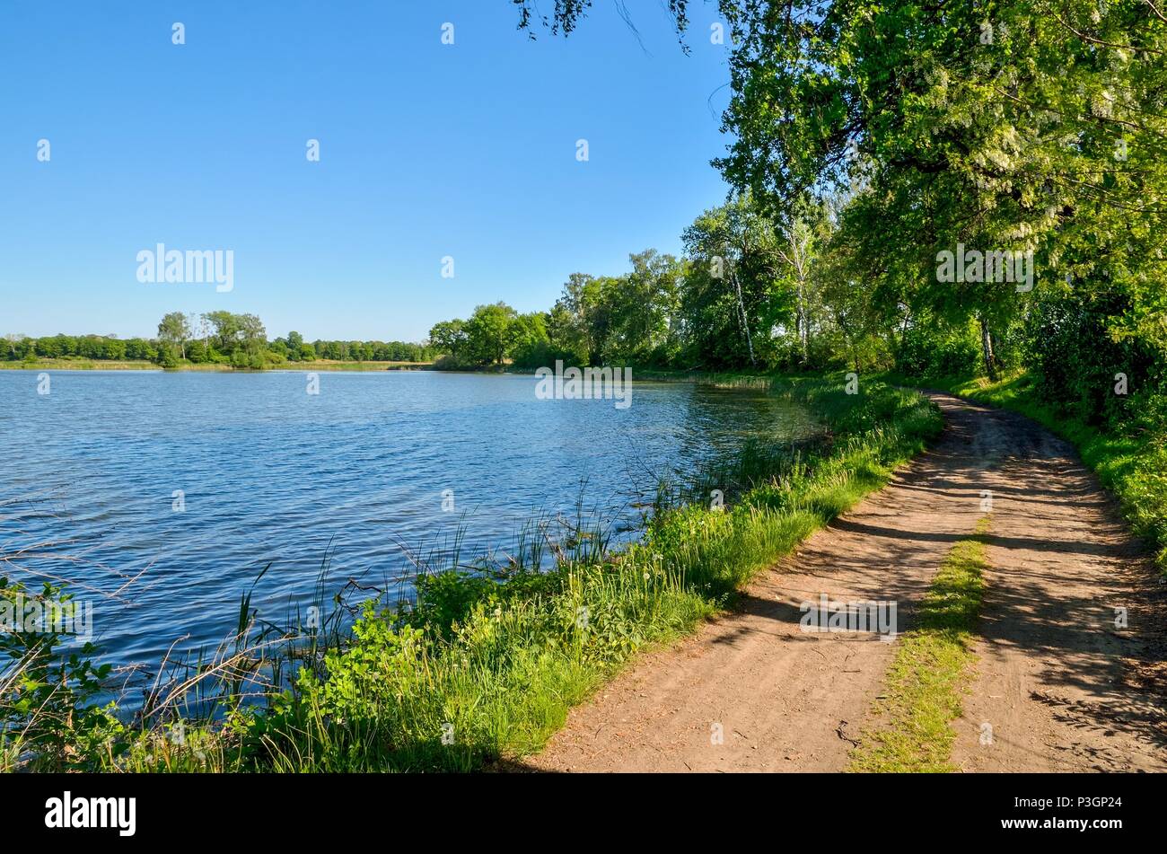 Beautiful spring landscape. A forest road over a rural pond Stock Photo ...