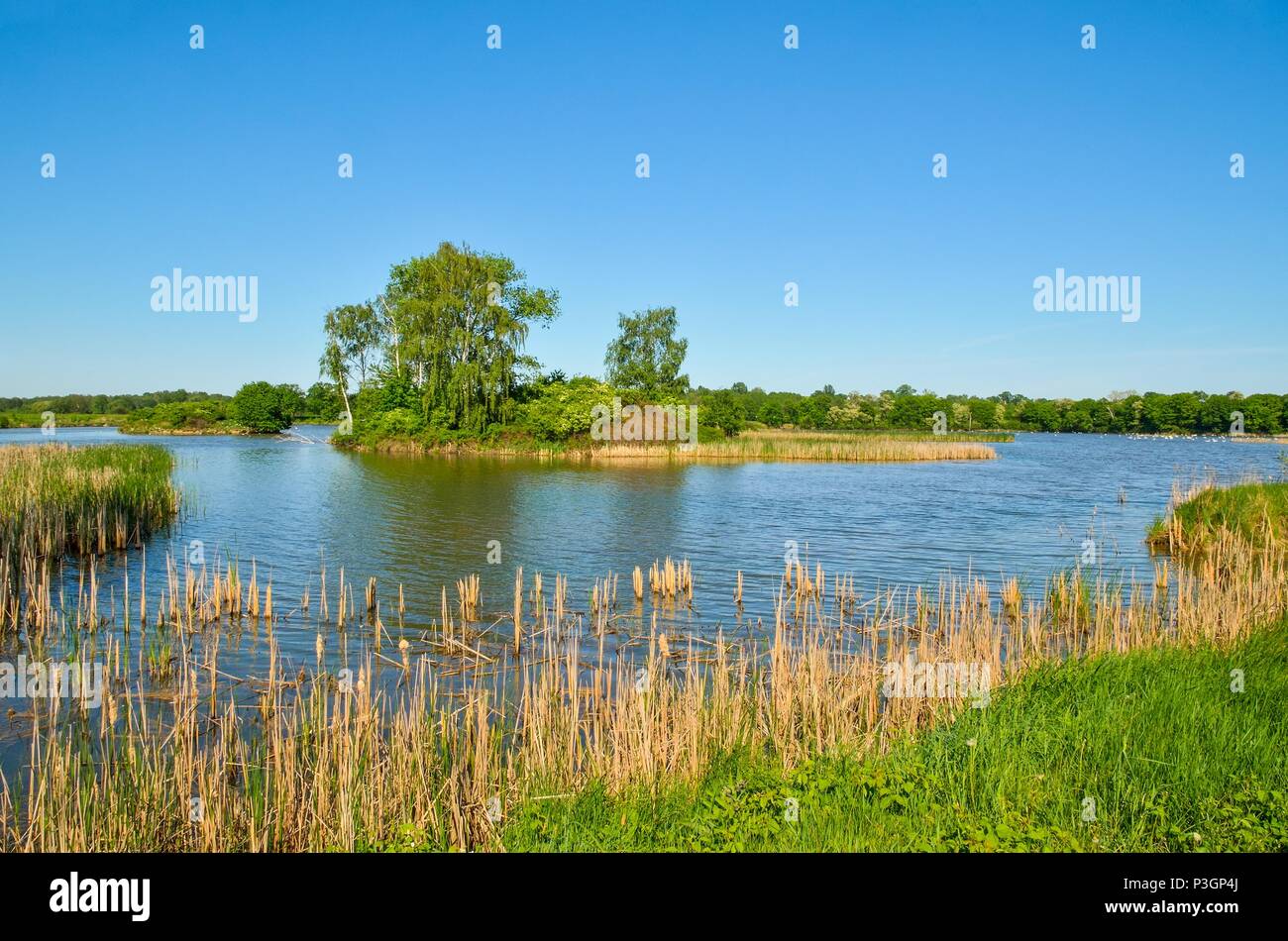 Beautiful rural landscape. Spring day over a beautiful pond Stock Photo ...