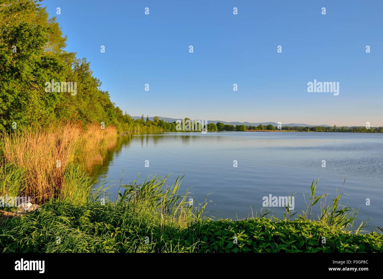 Beautiful spring landscape lake shore hi-res stock photography and ...