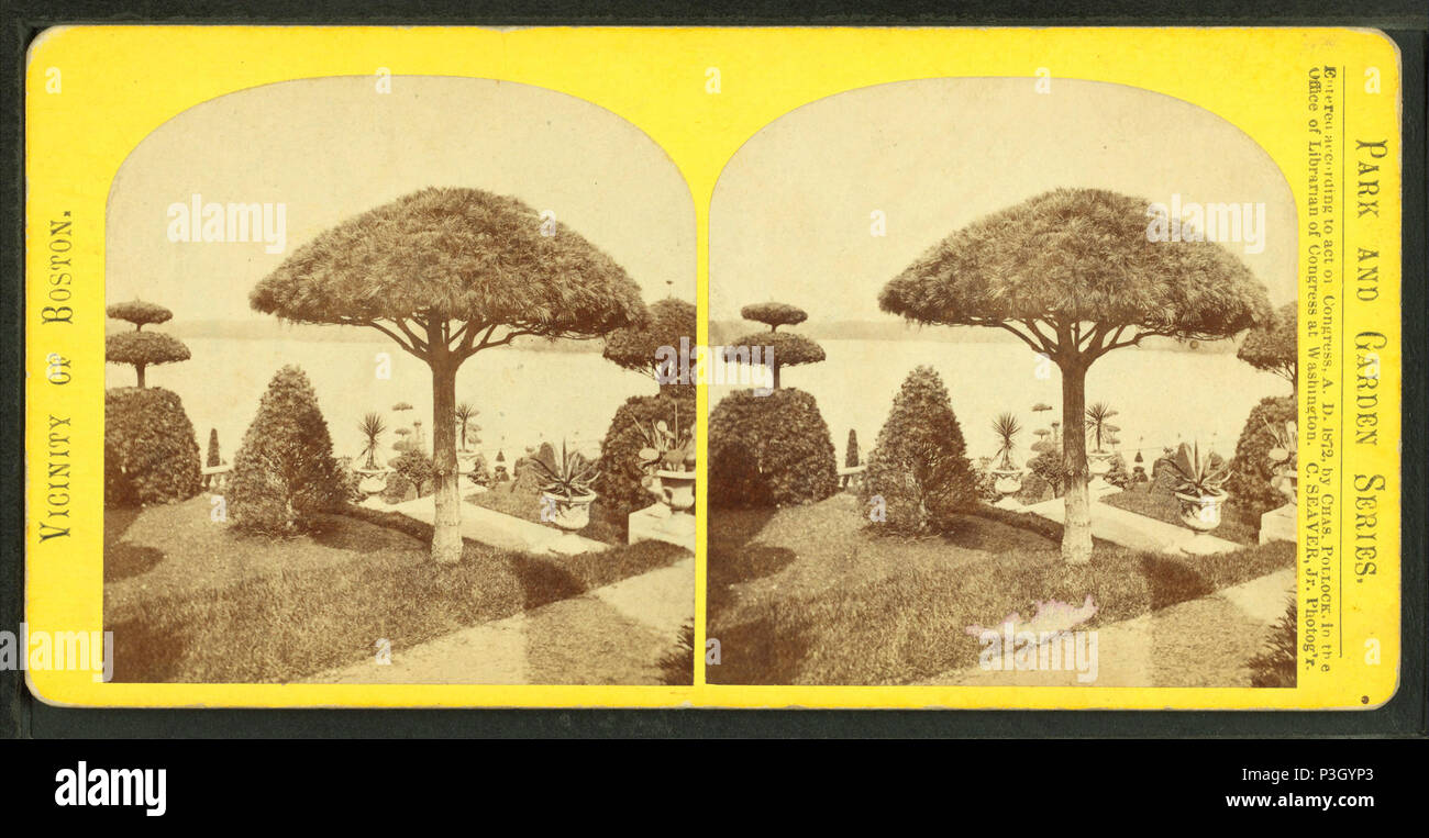 Topiary work hi-res stock photography and images - Alamy