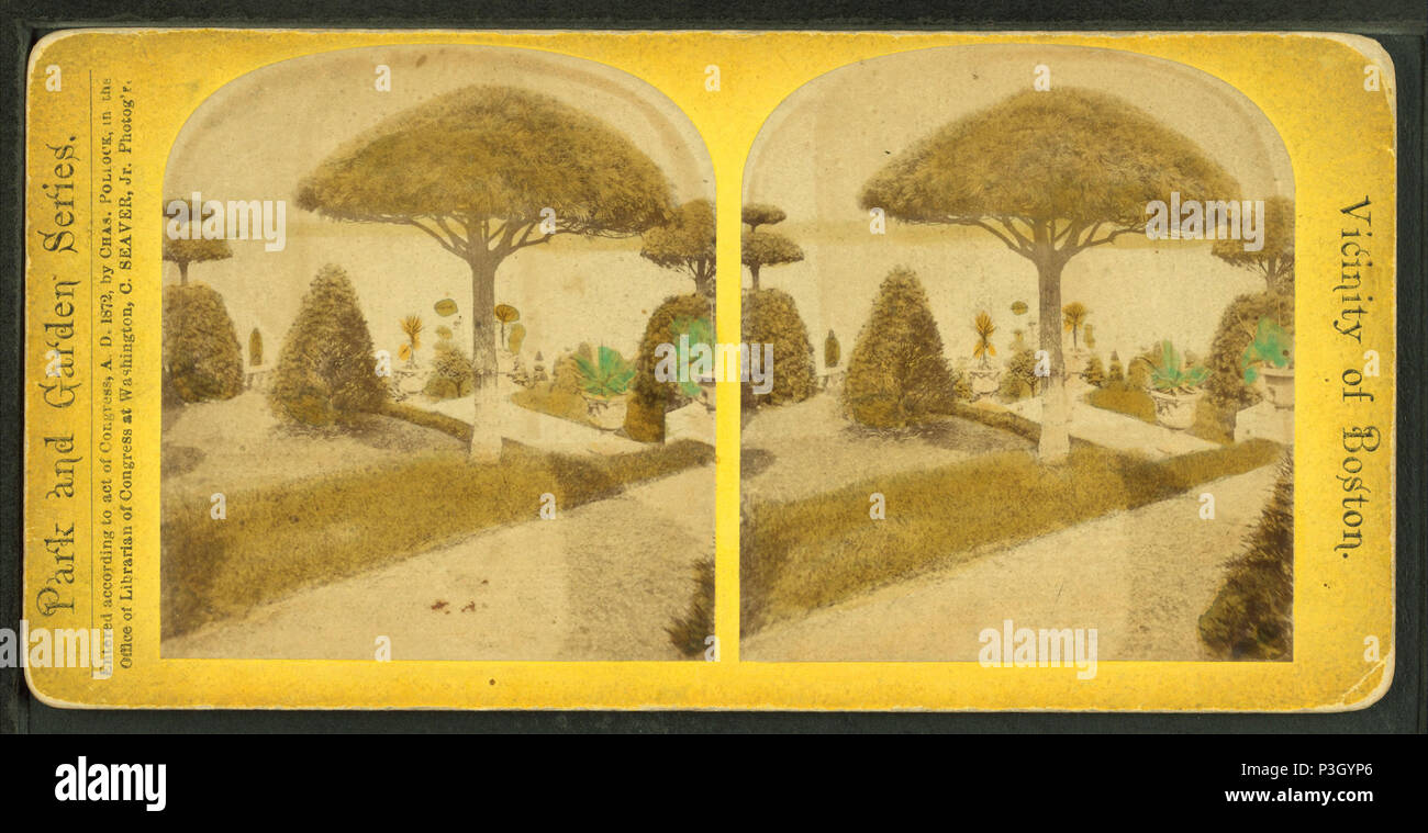 Topiary work hi-res stock photography and images - Alamy