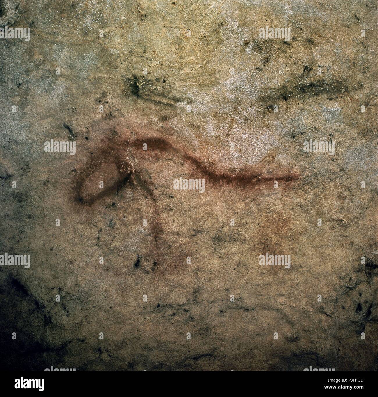 PINTURAS RUPESTRES DE LA CUEVA DE LA PILETA - CABALLO - PALEOLITICO ...