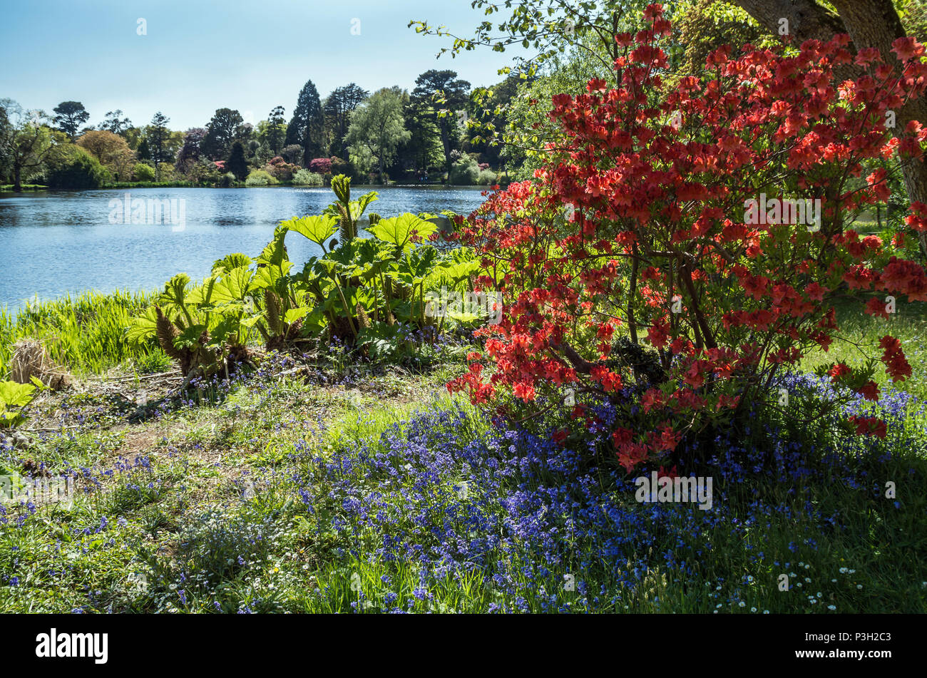 Stunning mix of flowers hi-res stock photography and images - Alamy