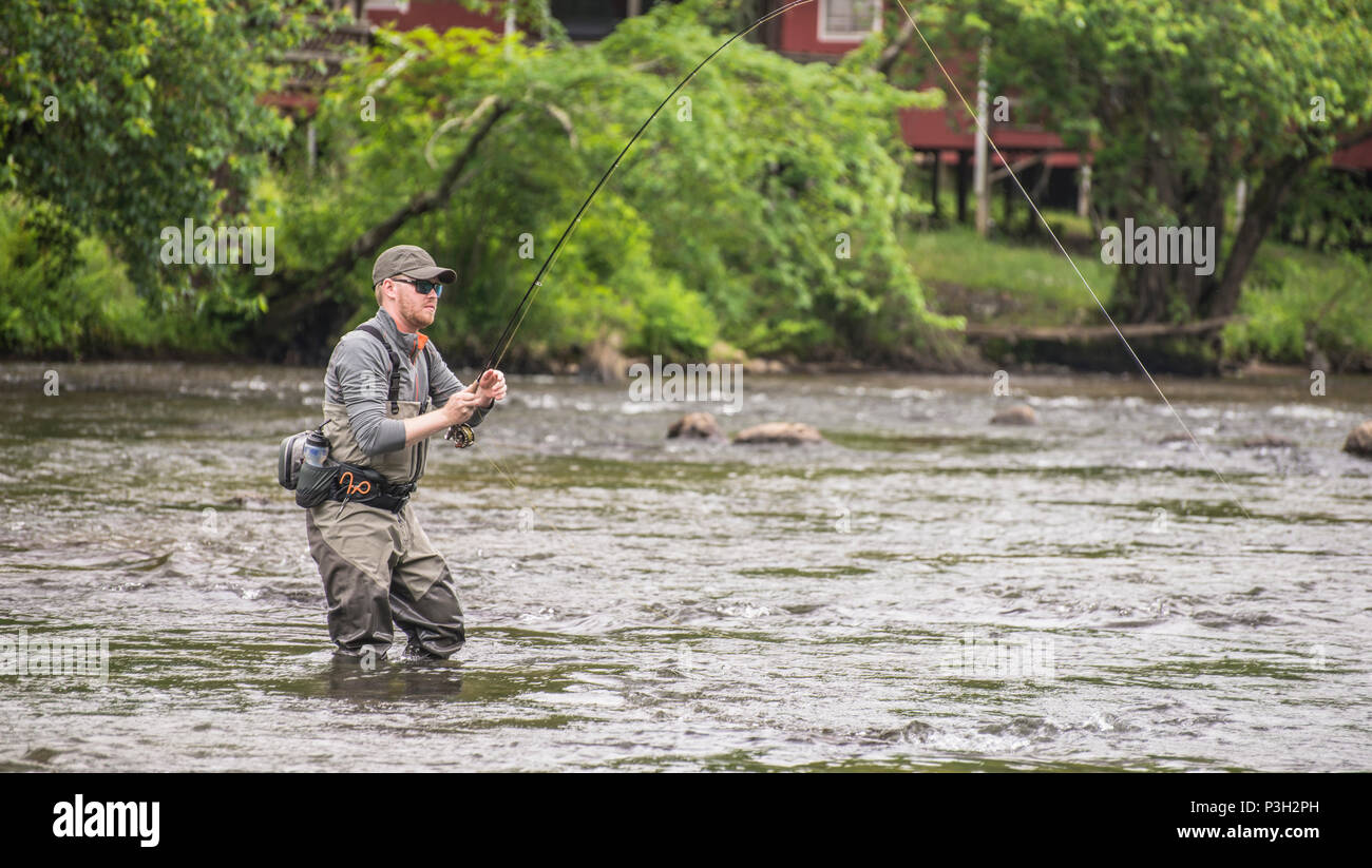 Fisherman using angling technique in river Stock Photo - Alamy