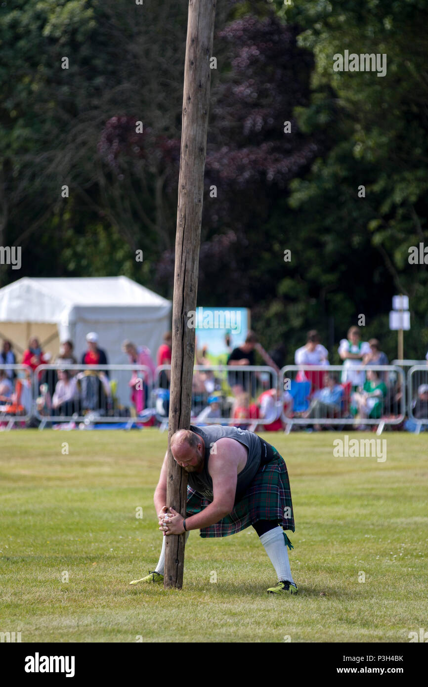 Caber toss hi-res stock photography and images - Alamy