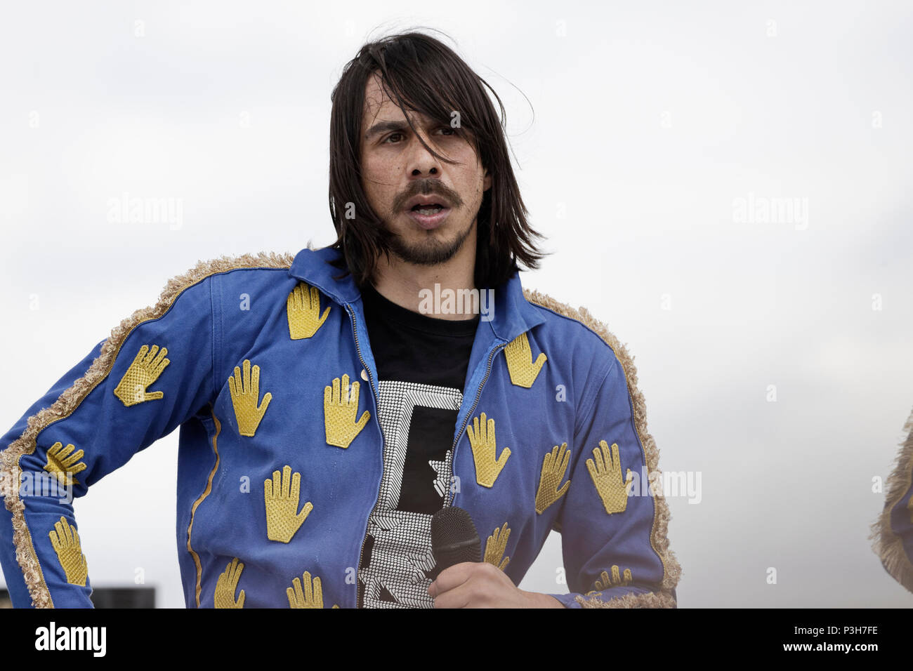 French filly hi-res stock photography and images - Alamy