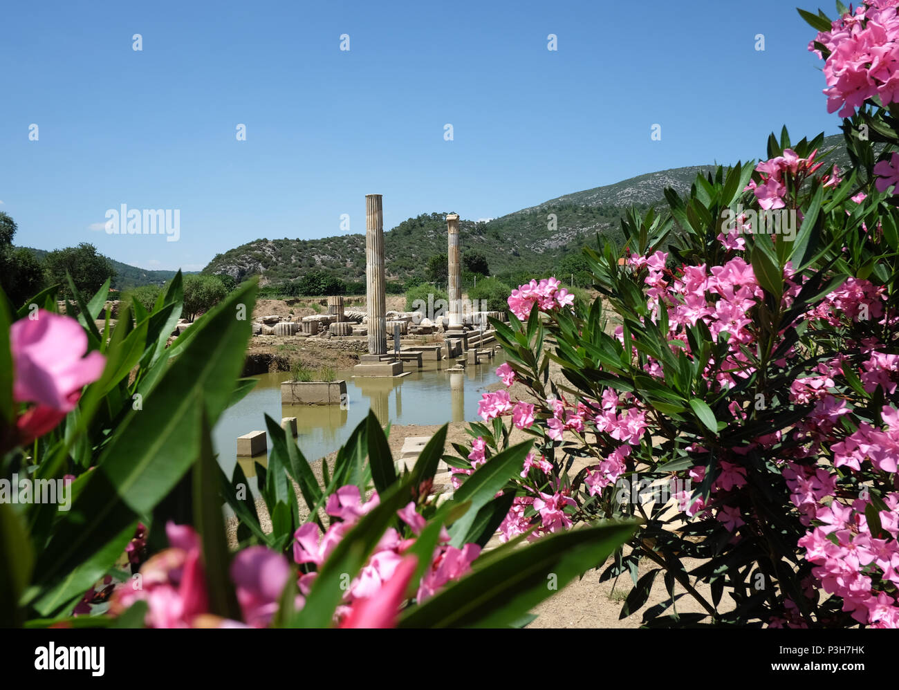 Oracle god hi-res stock photography and images - Alamy