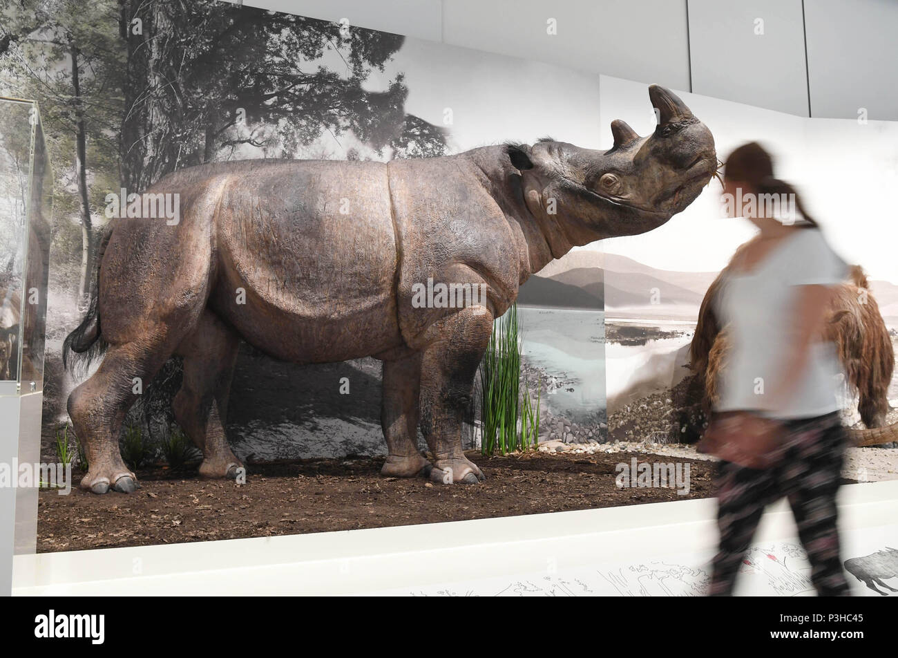 Karlsruhe, Germany. 18 June 2018. : A visitor inspects a life-sized ...
