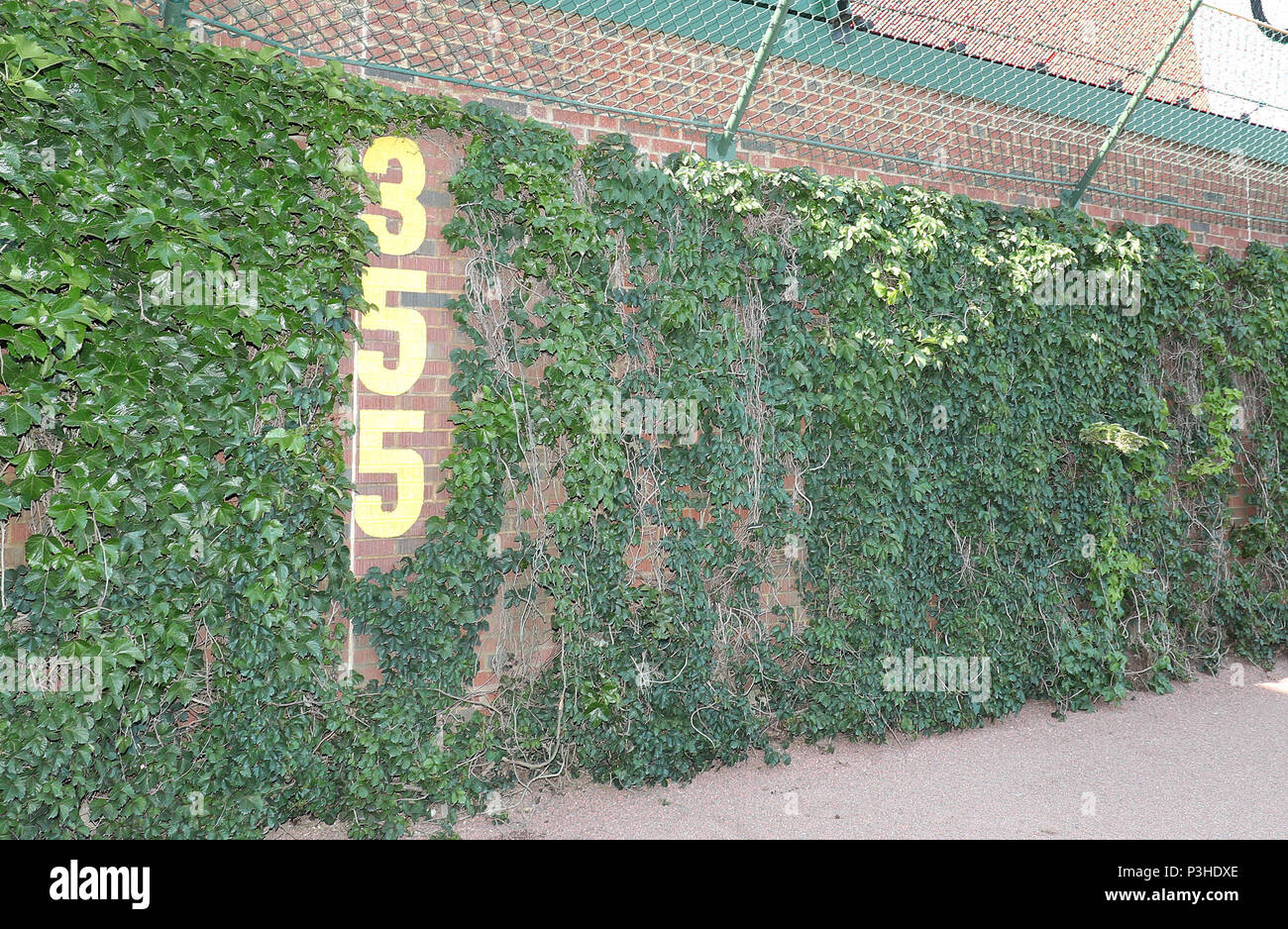 Wrigley field and ivy hi-res stock photography and images - Alamy