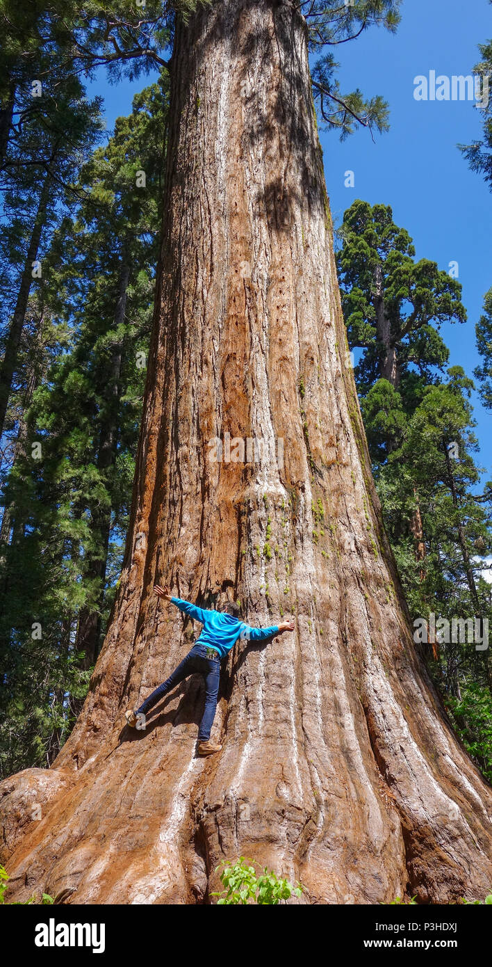 01 06 2017 hi-res stock photography and images - Alamy