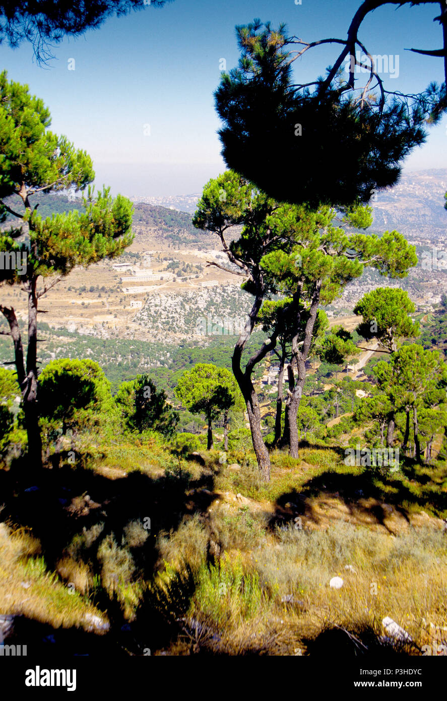 Lebanon mountains hi-res stock photography and images - Alamy